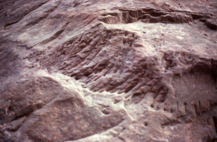 Hole-in-the-Rock Trail Gallery